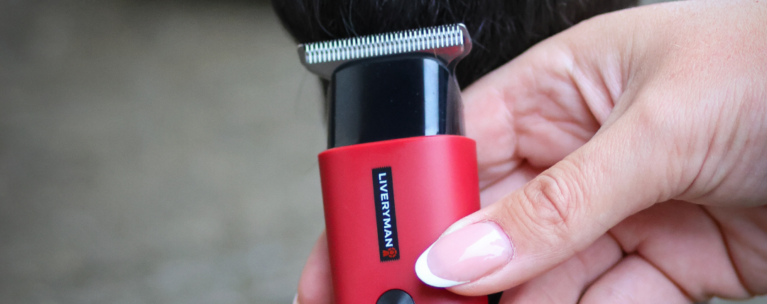 Robin: The Pocket-Sized Trimmer Every Grooming Kit Needs – GS Equestrian
