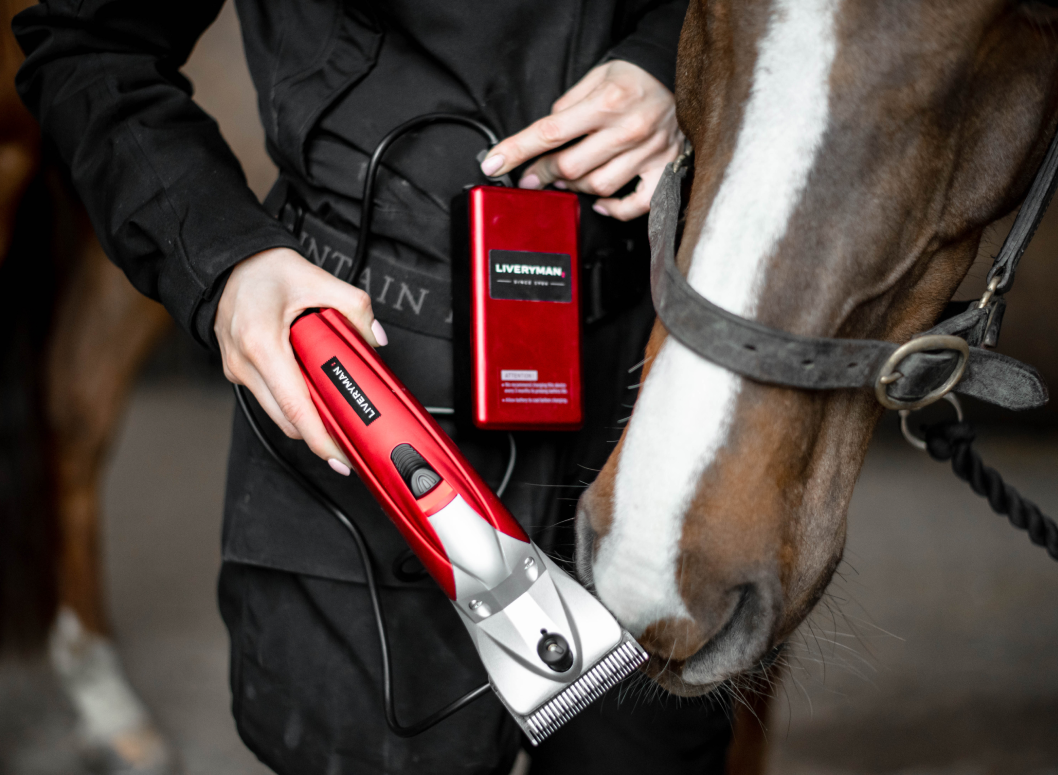 Liveryman Horse Clipping FAQs | GS Equestrian