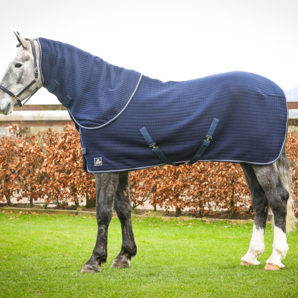Mackey Aran Thermo Rug – GS Equestrian