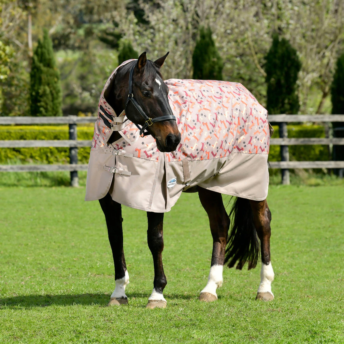 Weatherbeeta ComFiTec Essential Combo Neck Medium Turnout Rug – GS ...