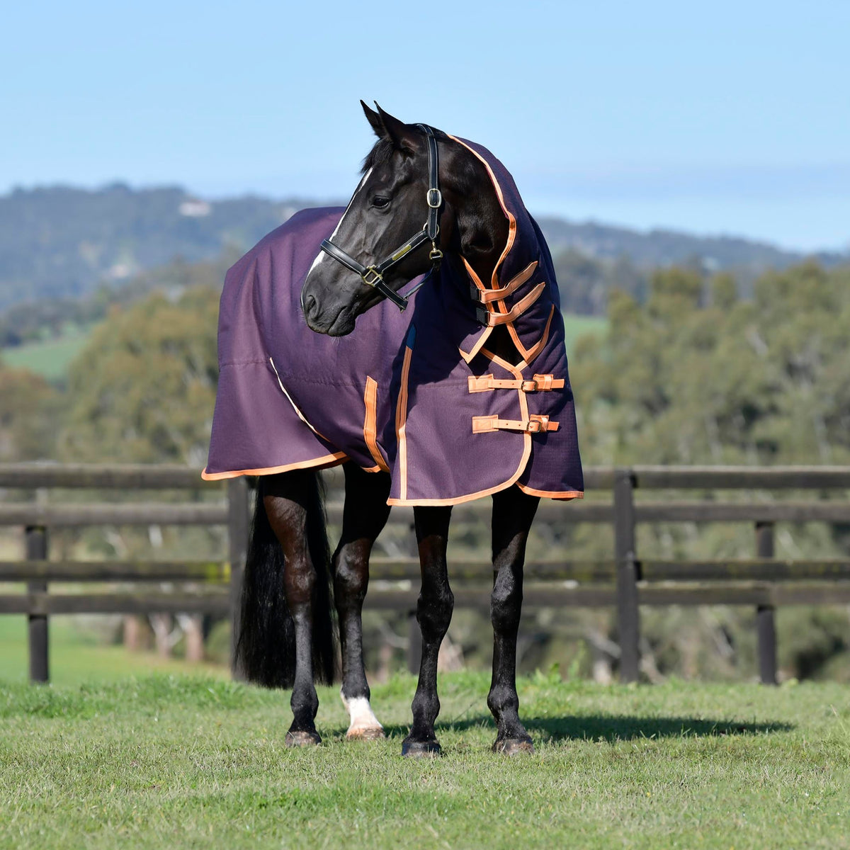 Weatherbeeta ComFiTec Essential Combo Neck Heavy Turnout Rug – GS ...