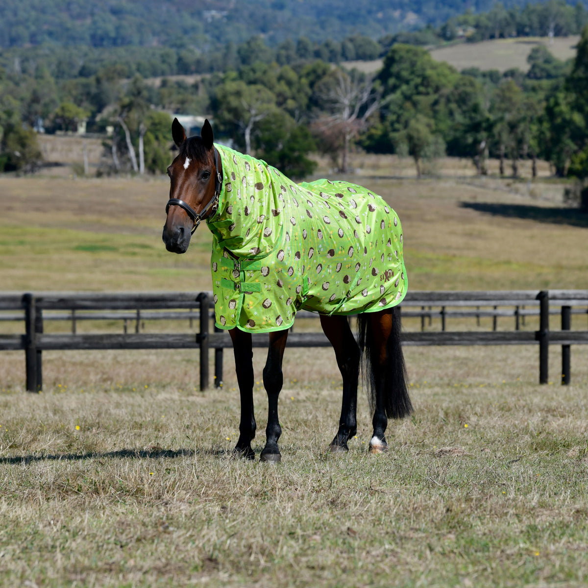 Saxon Mesh Combo Neck – GS Equestrian