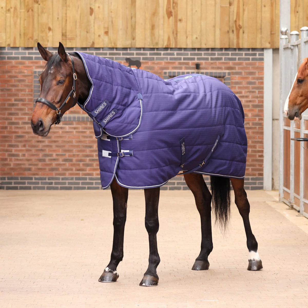Shires Tempest Original 100g Stable Combo Rug – GS Equestrian