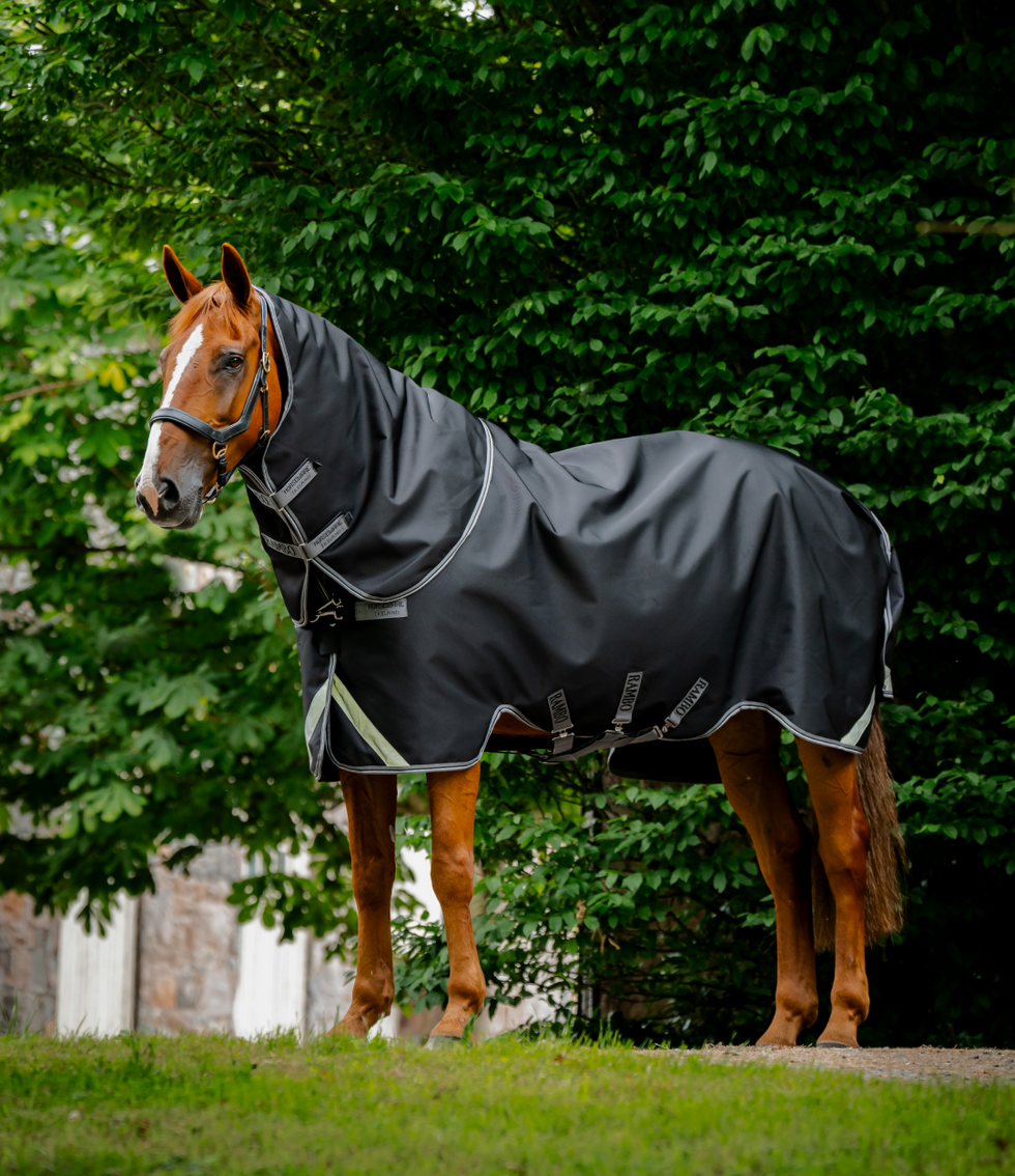 GS Equestrian | Horse Riding Equipment, Horse Riding Wear, Horse Tack