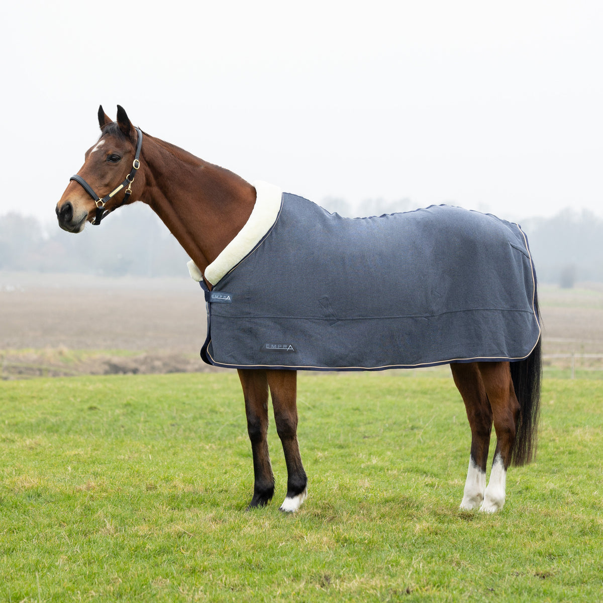 StormX Empra Cushioned Fleece Rug – GS Equestrian