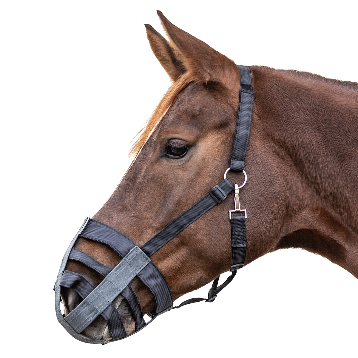 Waldhausen Muzzle – GS Equestrian
