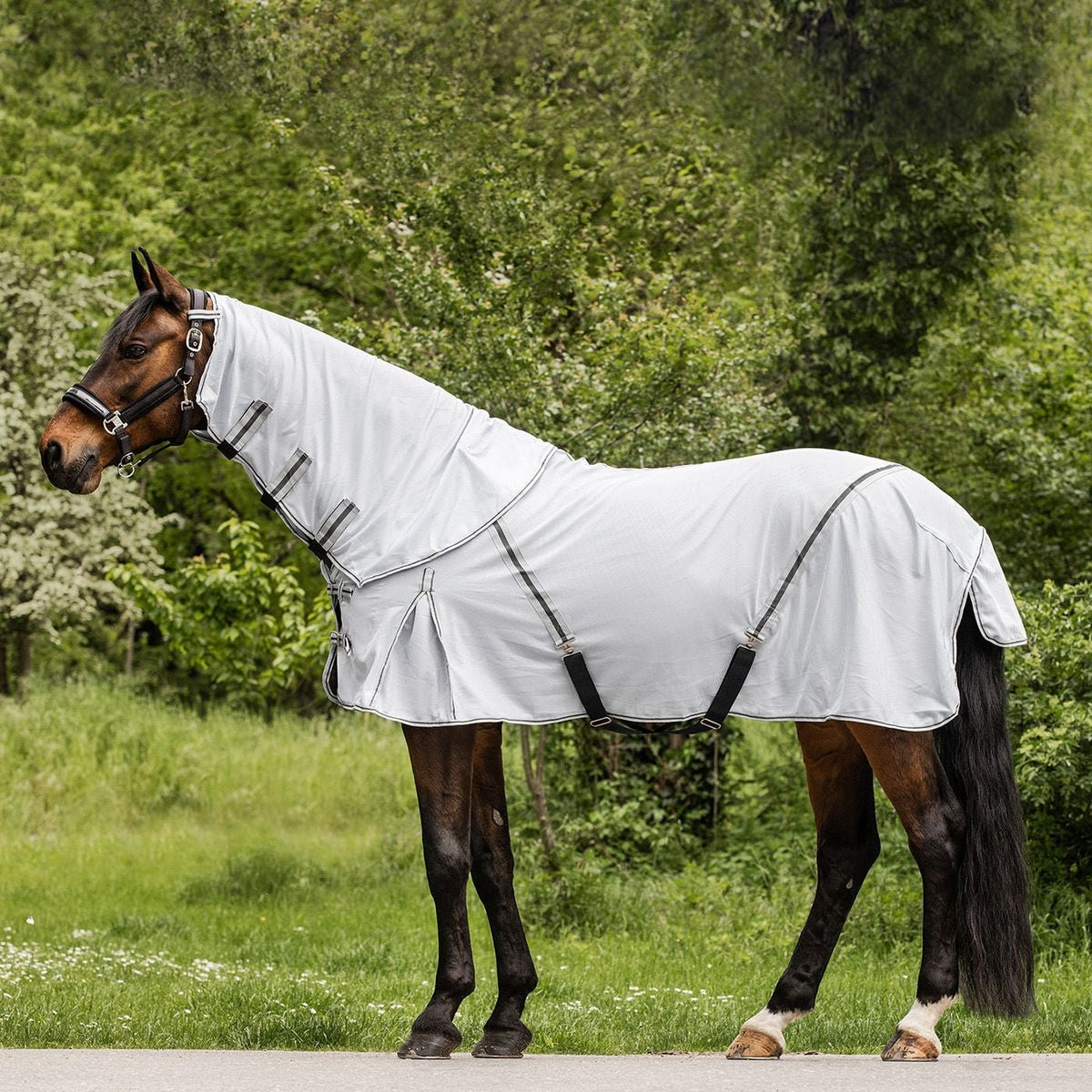 Waldhausen Protect Detachable Neck Fly Rug – GS Equestrian