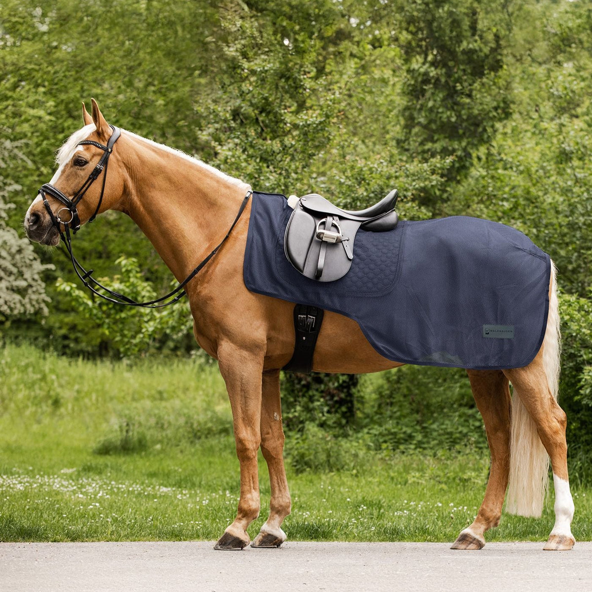 Waldhausen Comfort Fly-Exercise Sheet – GS Equestrian