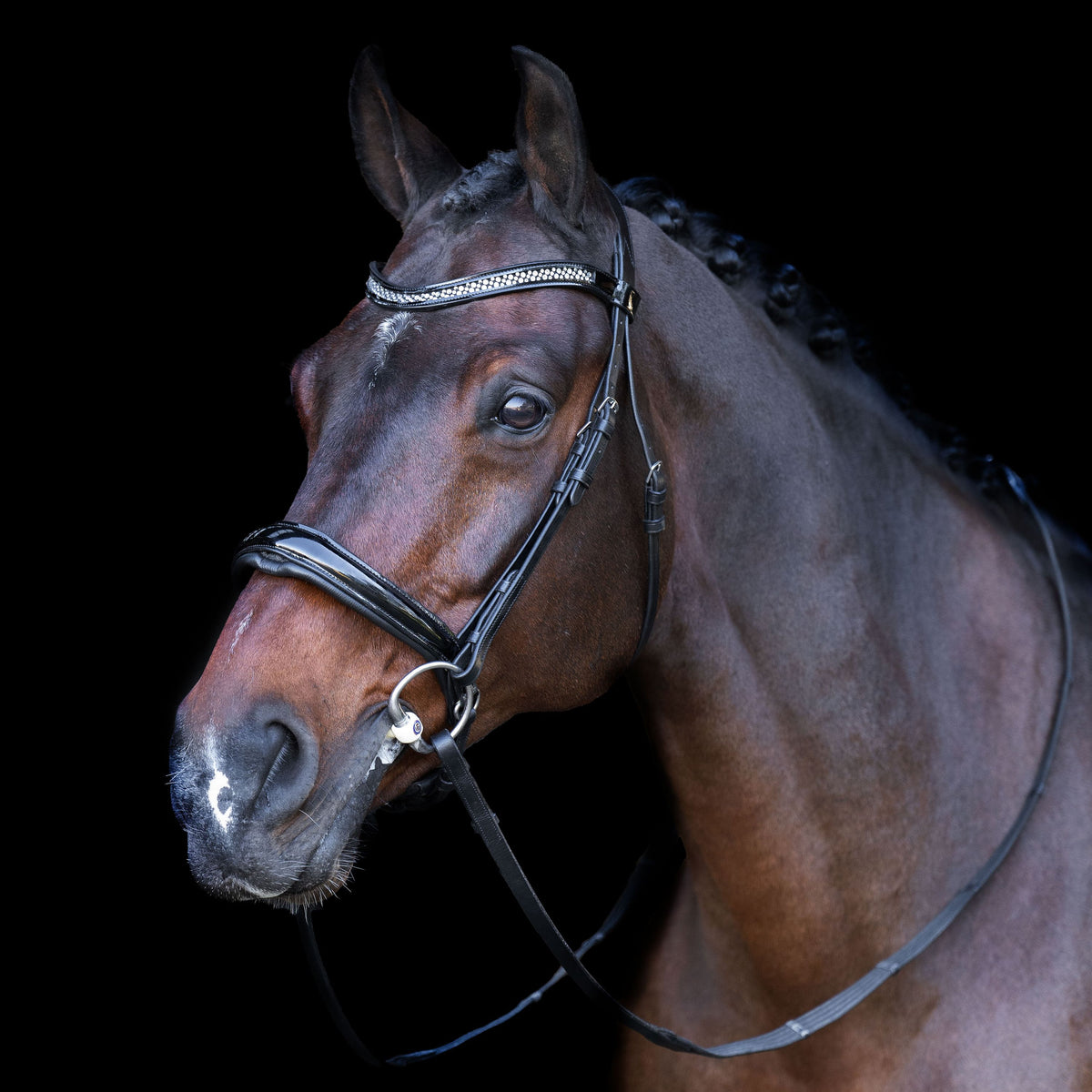 Imperial Riding Snaffle Bridle with English Noseband – GS Equestrian