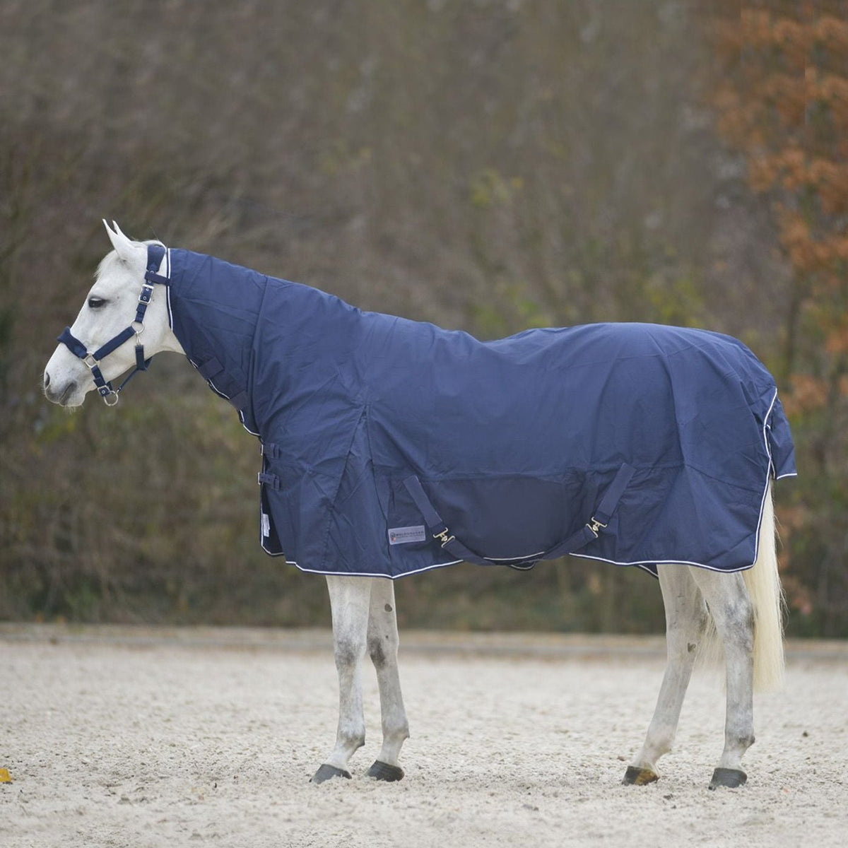 Waldhausen Comfort Full Neck Rain Sheet – GS Equestrian