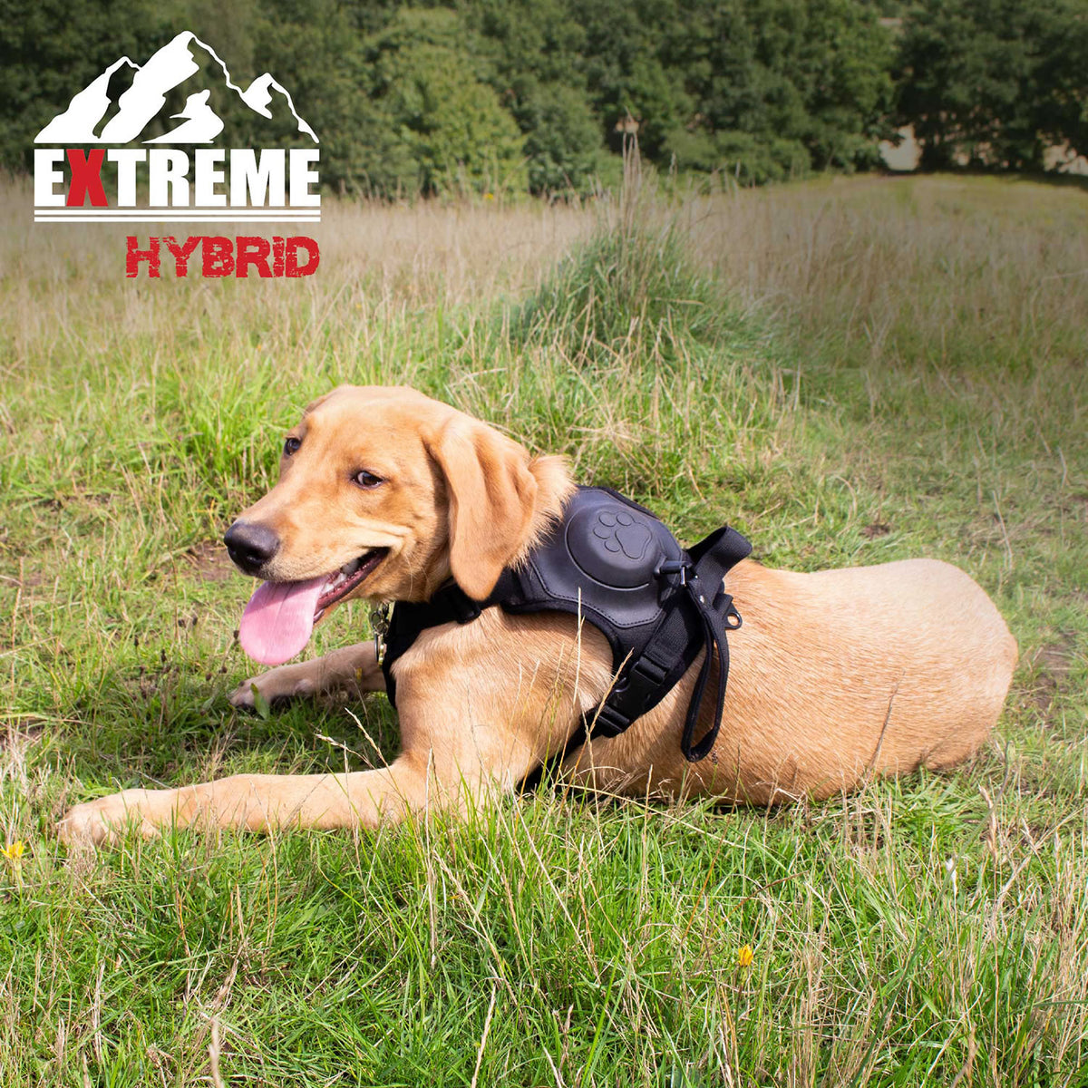 Ancol Extreme Hybrid Harness – GS Equestrian