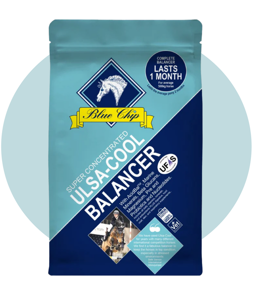 Blue Chip Equine Supplements – GS Equestrian