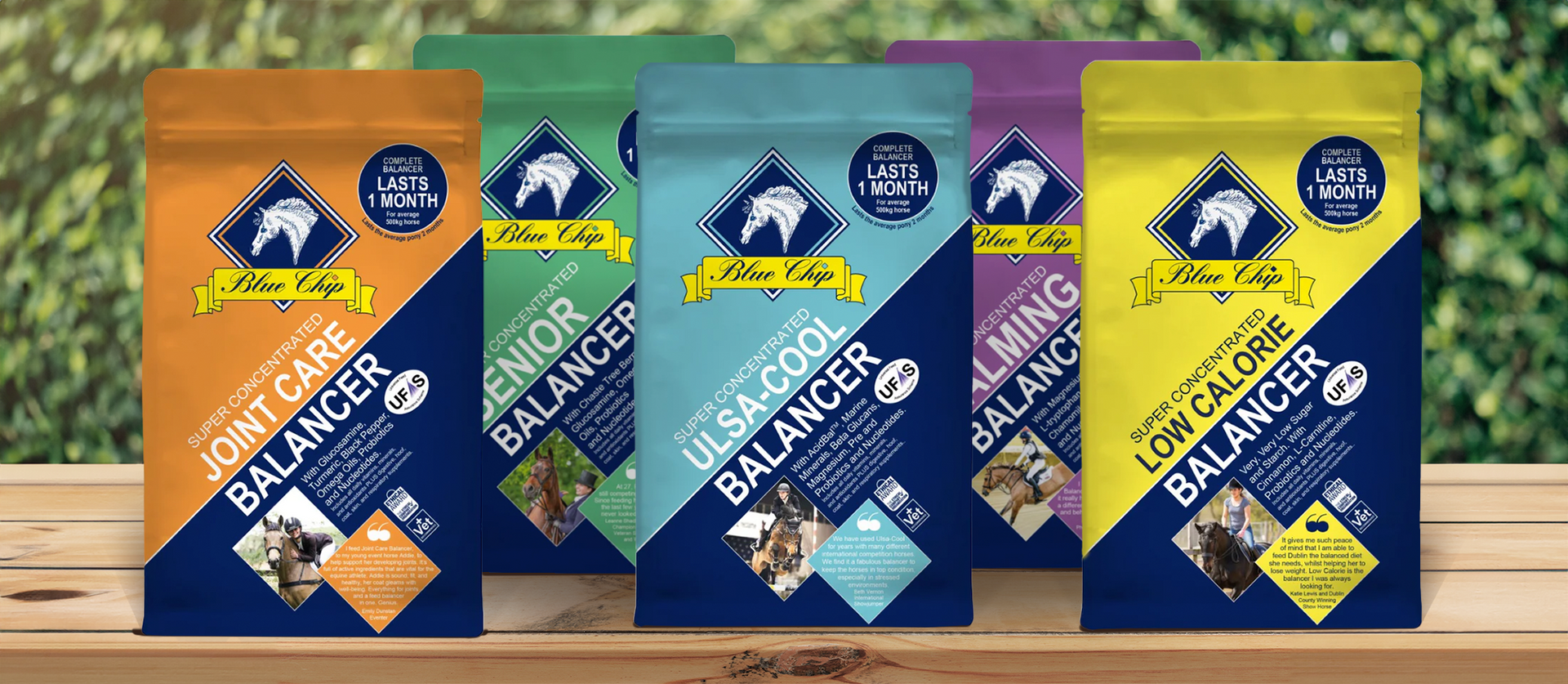 Blue Chip Equine Supplements – GS Equestrian