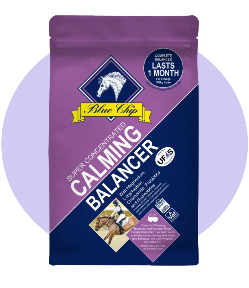 Blue Chip Equine Supplements – GS Equestrian