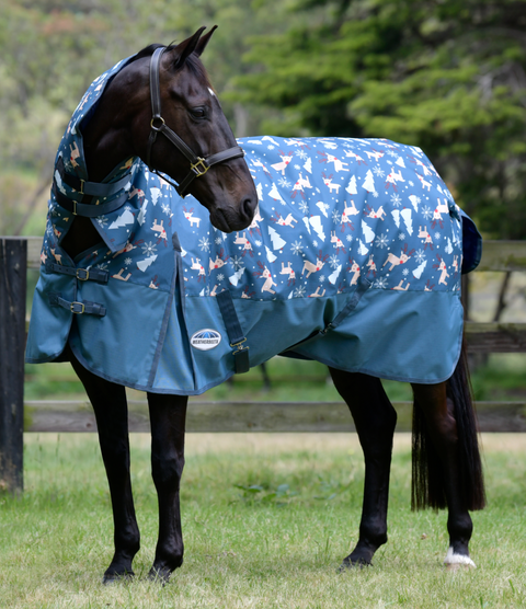 GS Equestrian | Horse Riding Equipment, Horse Riding Wear, Horse Tack