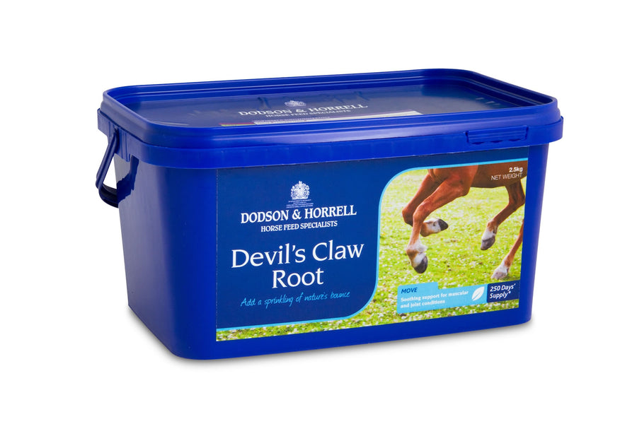 Dodson & Horrell | Equine Health & Performance – GS Equestrian