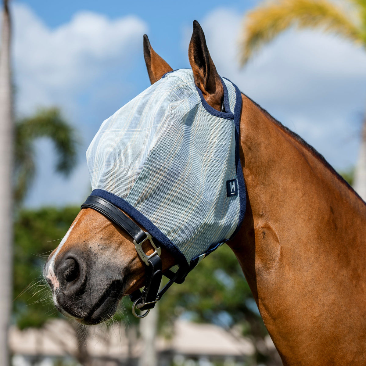 Horseware Ireland Newmarket No Ears Fly Mask – GS Equestrian