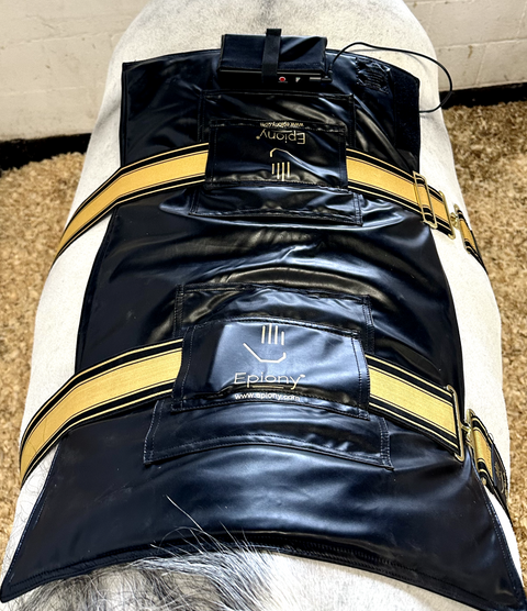 GS Equestrian | Horse Riding Equipment, Horse Riding Wear, Horse Tack