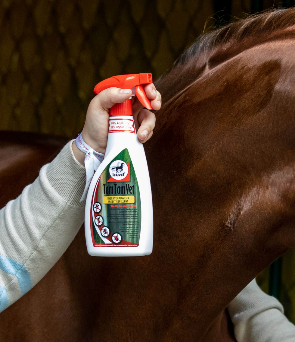 GS Equestrian | Horse Riding Equipment, Horse Riding Wear, Horse Tack