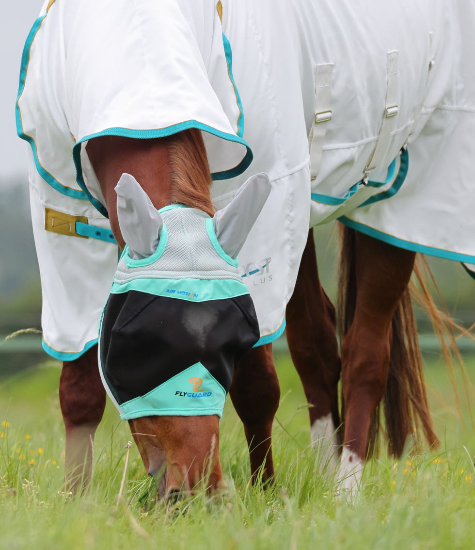 GS Equestrian | Horse Riding Equipment, Horse Riding Wear, Horse Tack