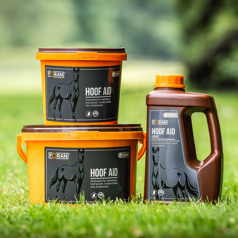 Foran Equine Horse Supplements & Nutrition – GS Equestrian