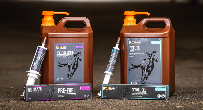 Foran Equine: Horse Supplements | GS Equestrian