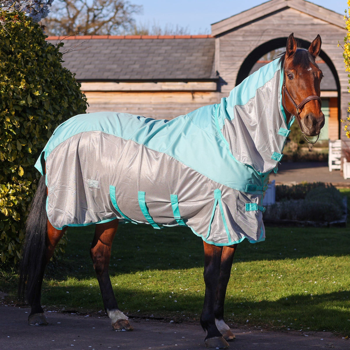 Fly Rugs, Summer Sheets & Hybrid Rugs | GS Equestrian