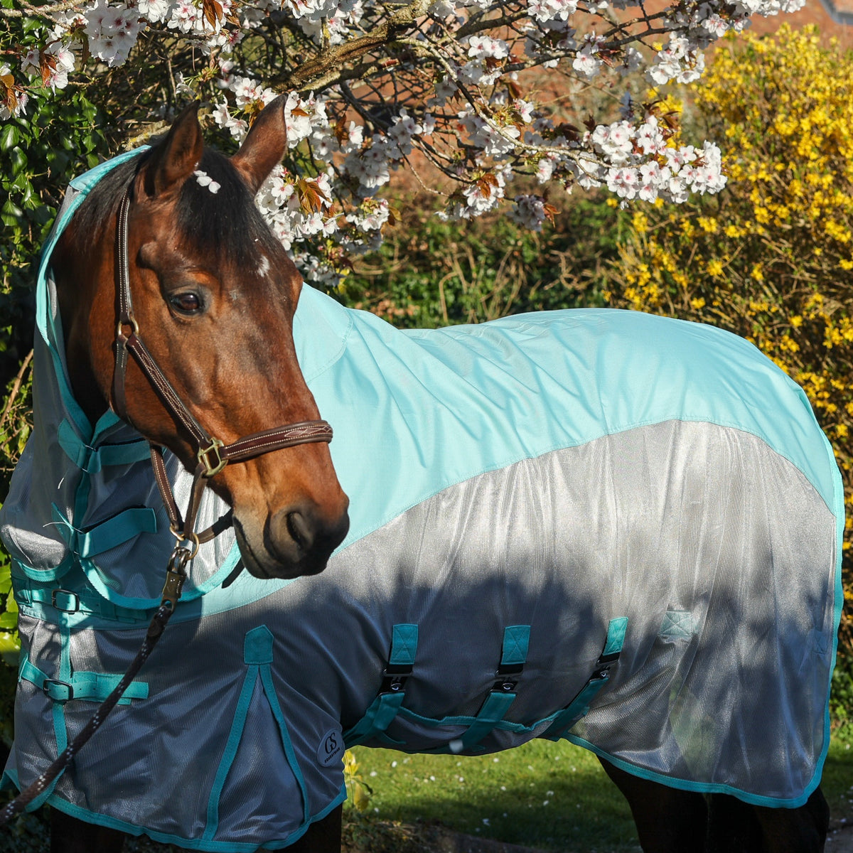 Fly Rugs, Summer Sheets & Hybrid Rugs | GS Equestrian