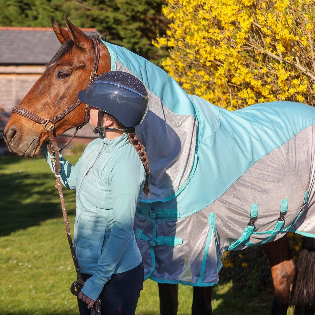 Fly Rugs, Summer Sheets & Hybrid Rugs | GS Equestrian