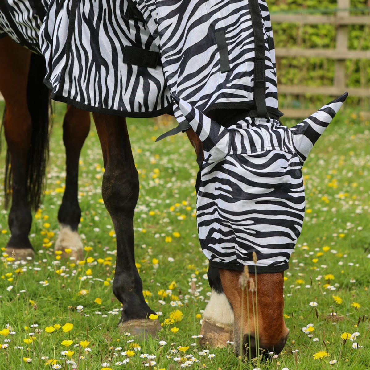 Fast Dispatch Turnout Rugs – Page 4 – GS Equestrian