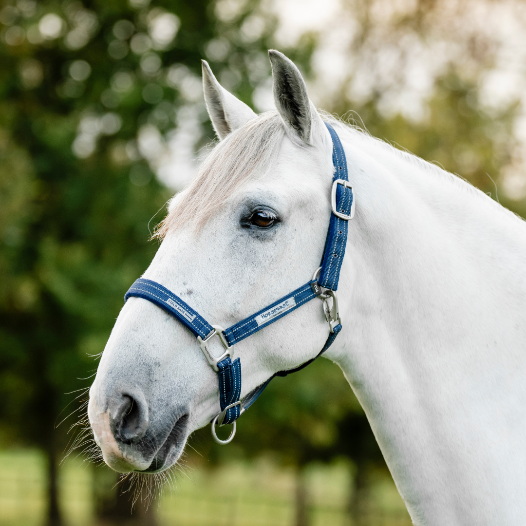 Horseware Ireland Field Safe Headcollar – GS Equestrian