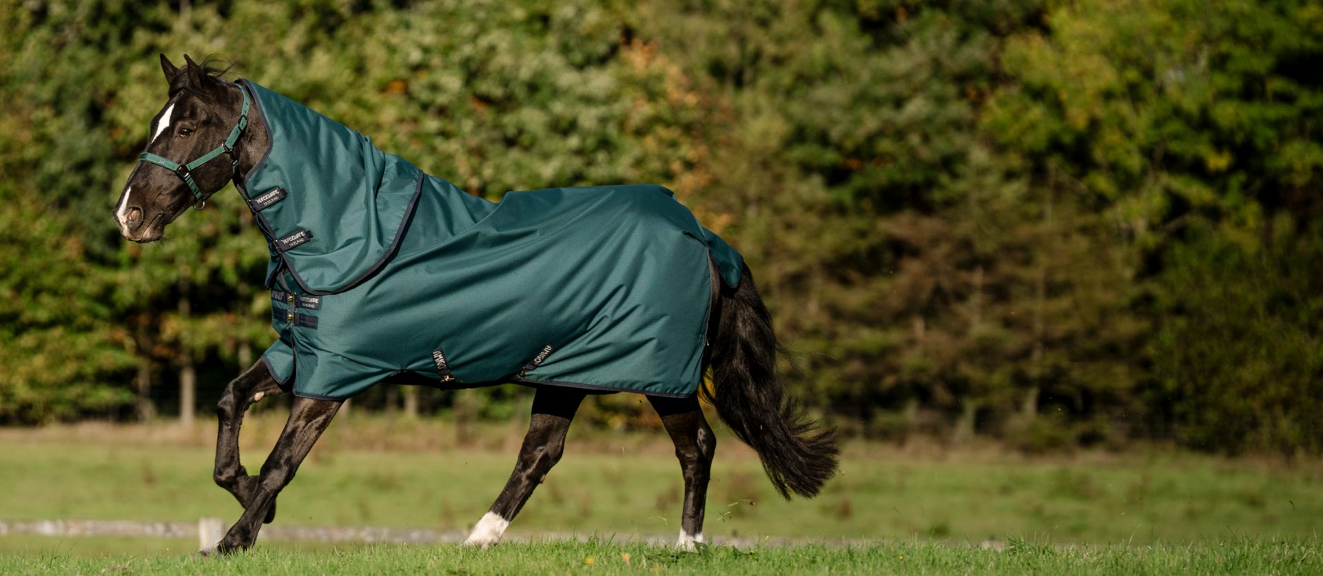 GS Equestrian | Horse Riding Equipment, Horse Riding Wear, Horse Tack