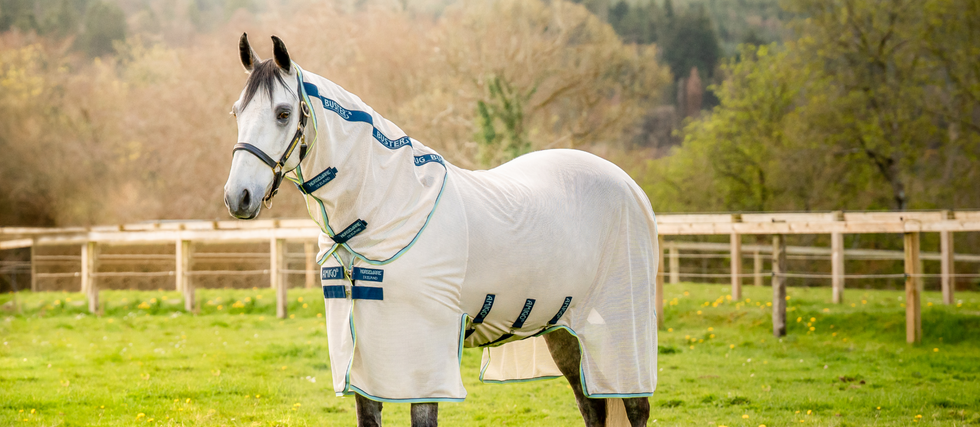 GS Equestrian | Horse Riding Equipment, Horse Riding Wear, Horse Tack