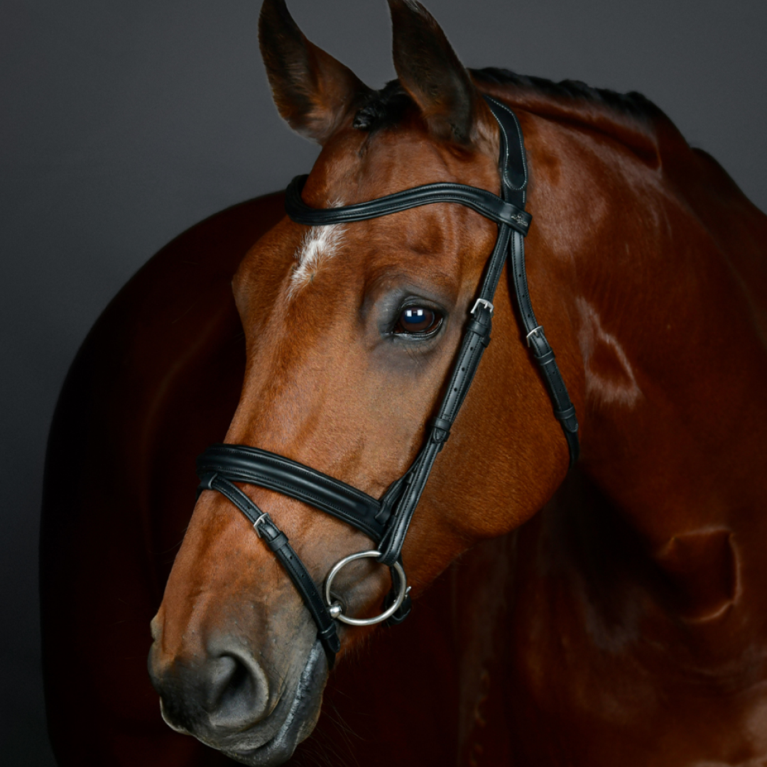 Collegiate Comfitec Opulux Plain Padded Hanoverian Flash Bridle – GS ...