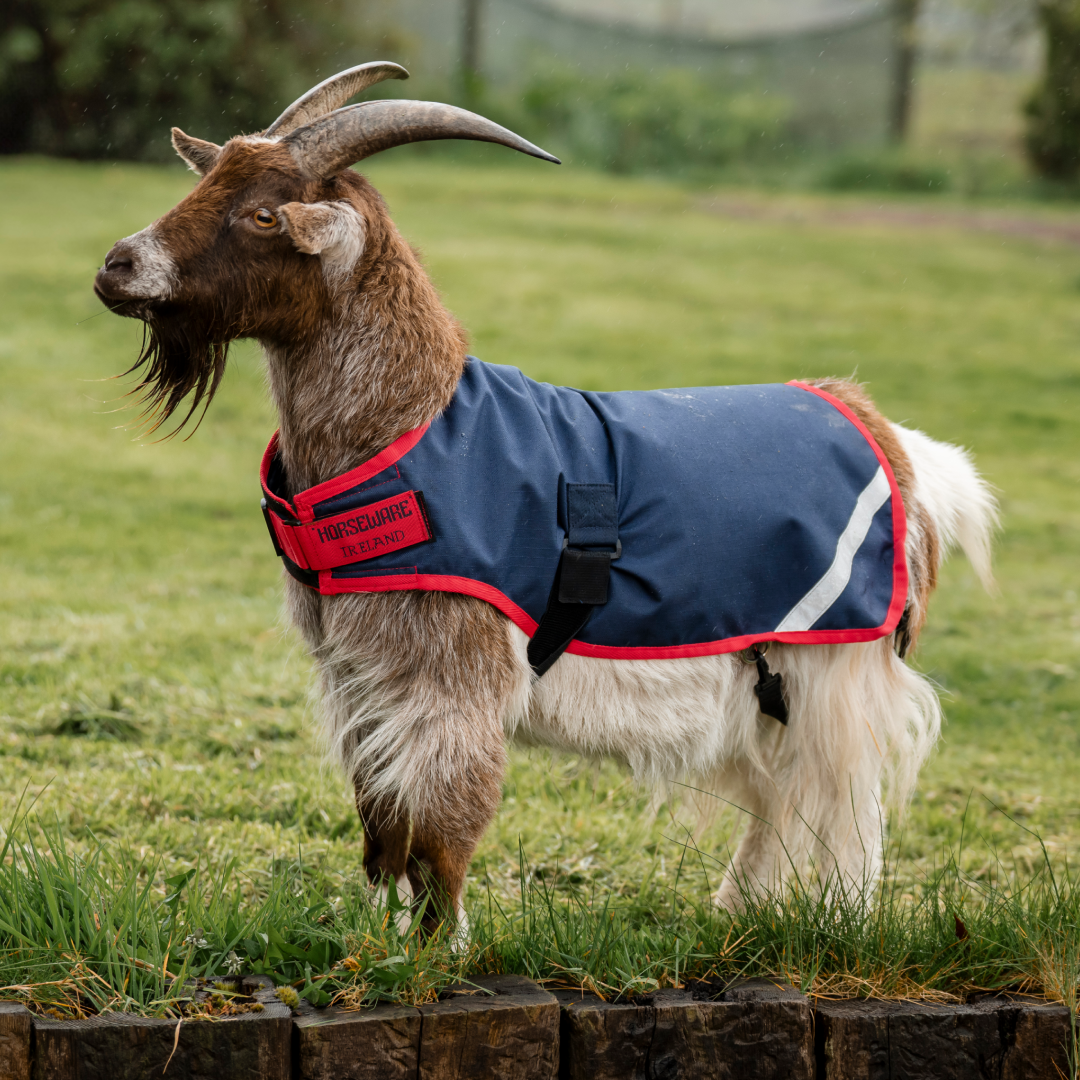 Horseware Ireland 0g Goat Coat – GS Equestrian