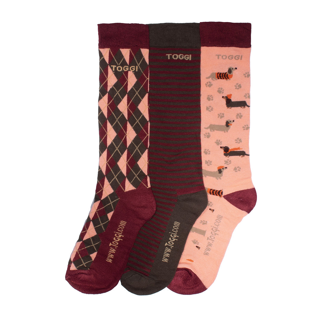 Toggi Loughty Women's Socks – GS Equestrian