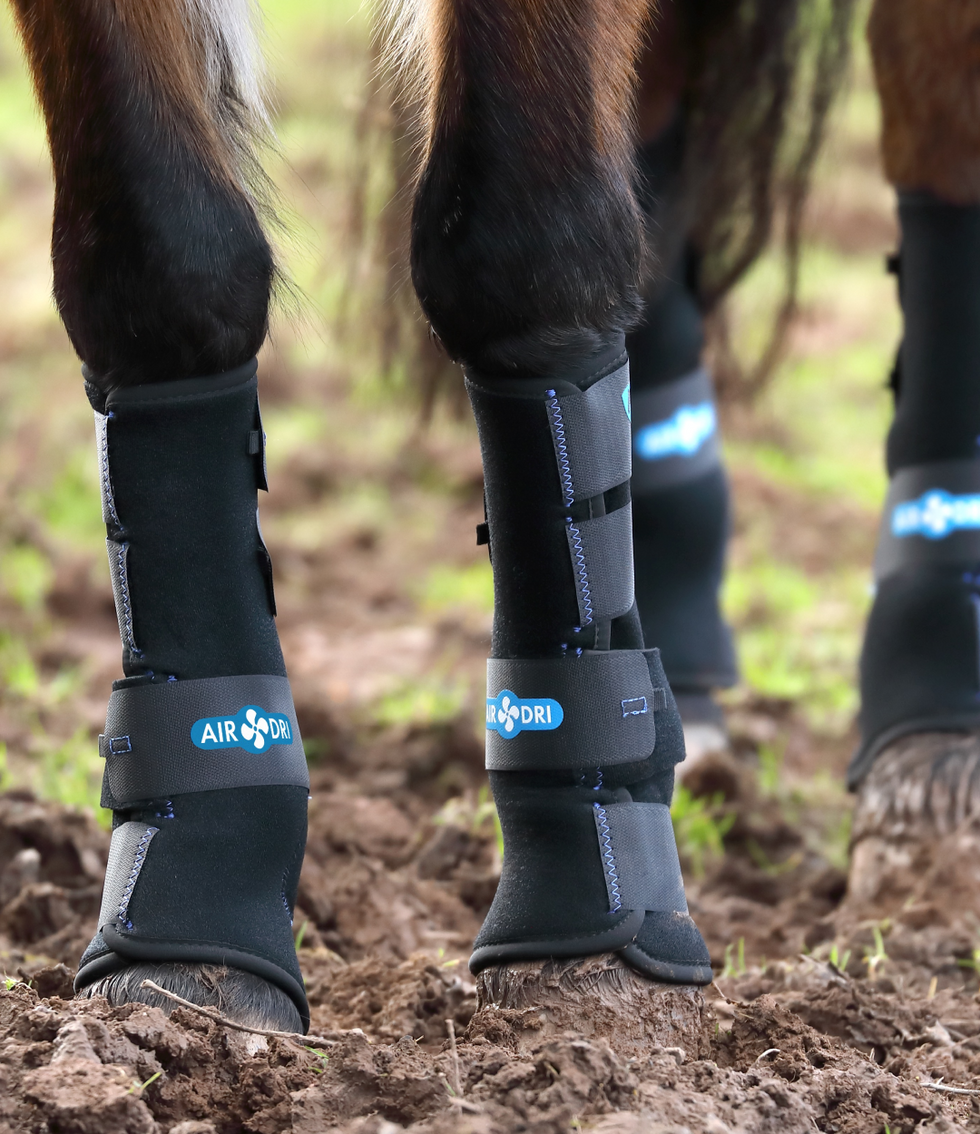 GS Equestrian | Horse Riding Equipment, Horse Riding Wear, Horse Tack