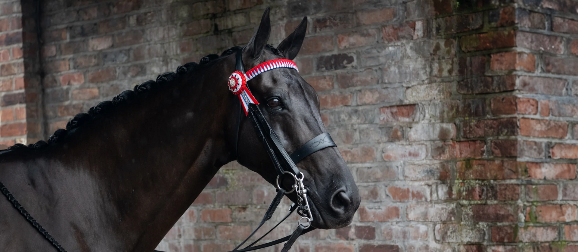 Smart Grooming Turnout & Grooming – GS Equestrian