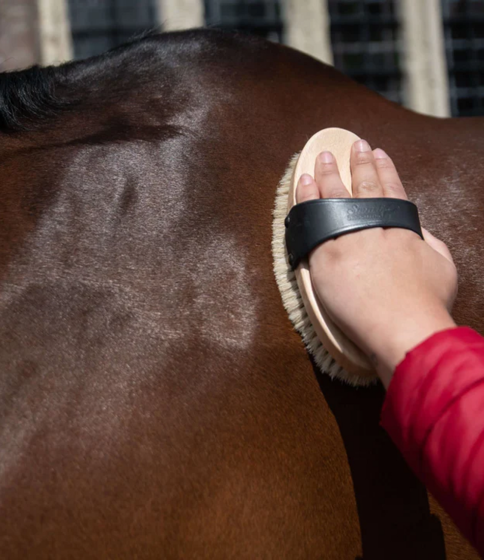 Smart Grooming Turnout & Grooming – GS Equestrian