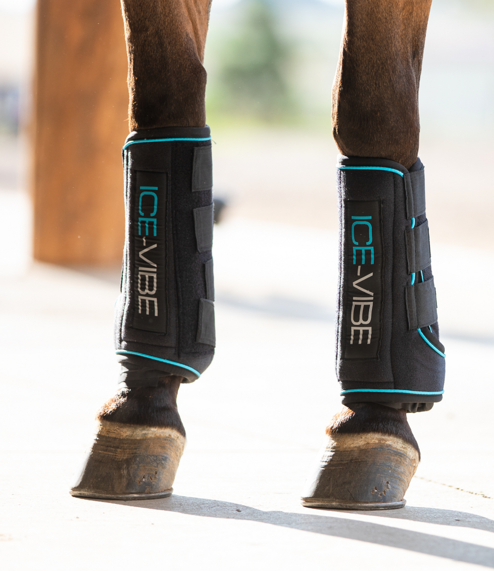 GS Equestrian | Horse Riding Equipment, Horse Riding Wear, Horse Tack