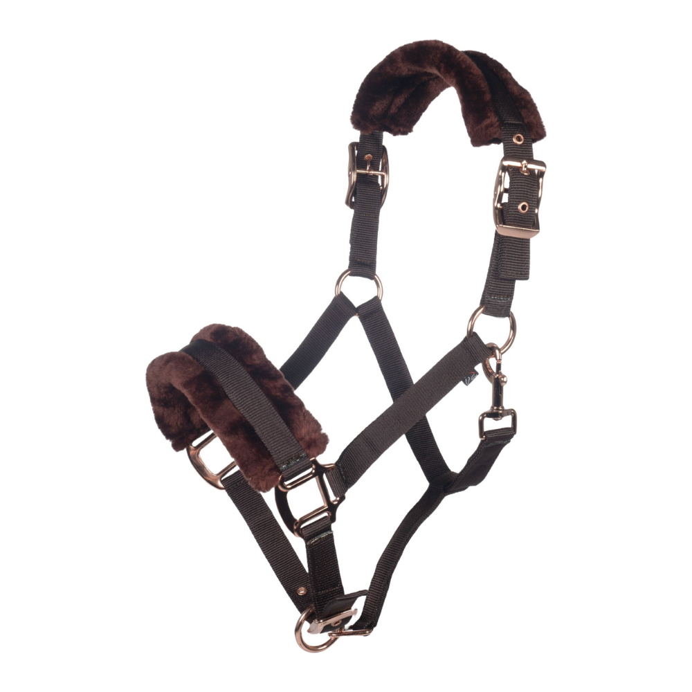 HKM Head Collar -Rosegold Glamour- Style – GS Equestrian