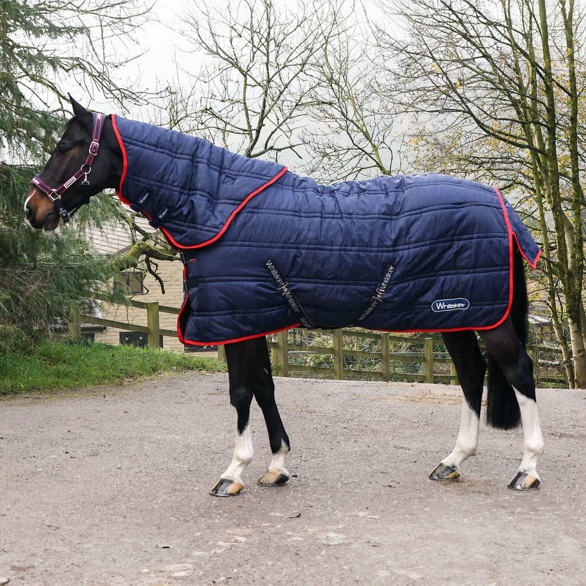 Whitaker Rastrick V2 250g Detachable Neck Stable Rug – GS Equestrian