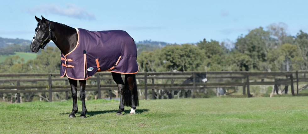 GS Equestrian | Horse Riding Equipment, Horse Riding Wear, Horse Tack