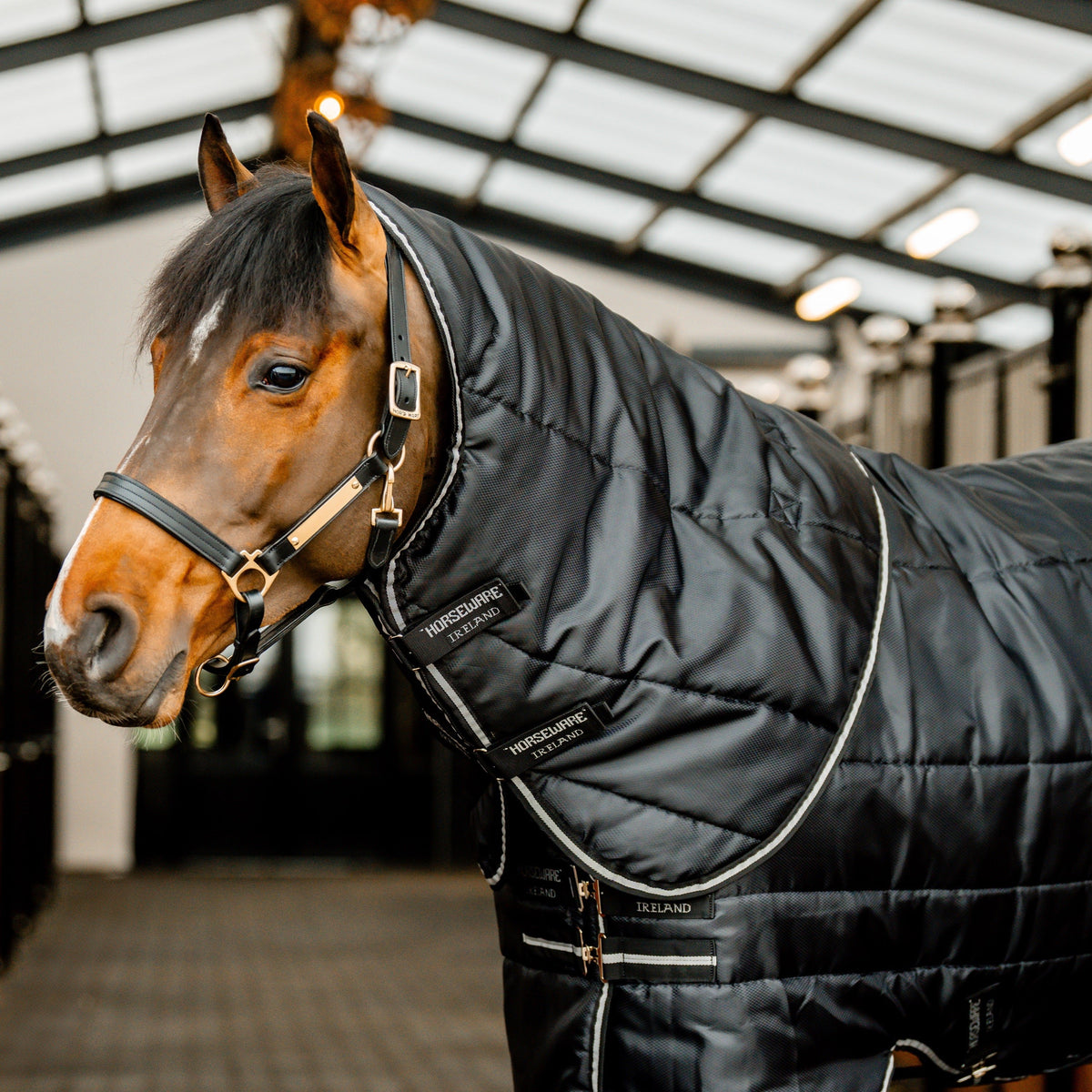 Horseware Ireland Easy-Layer 100g Stable Rug Hood – GS Equestrian
