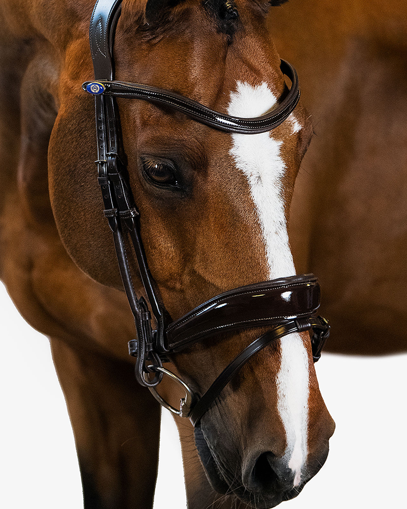 GS Equestrian | Horse Riding Equipment, Horse Riding Wear, Horse Tack