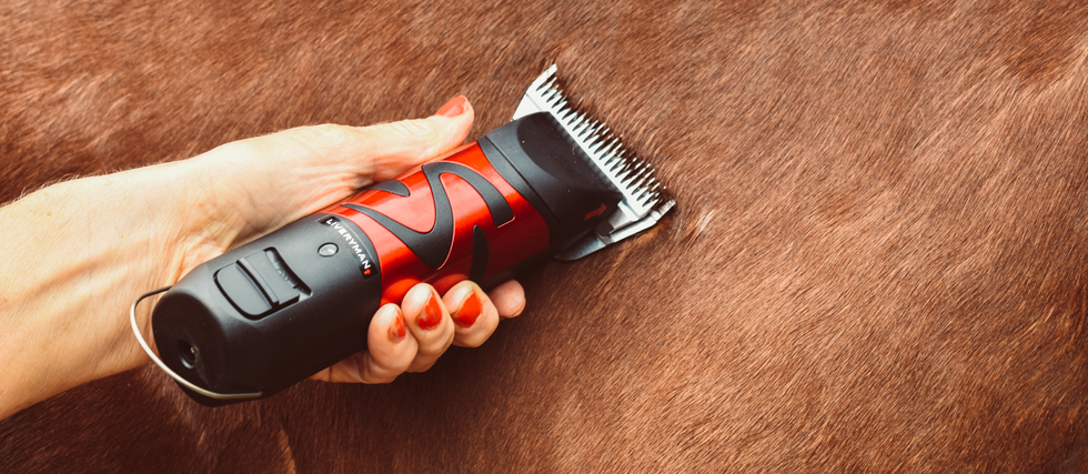 Liveryman Clippers, Trimmers & More | GS Equestrian