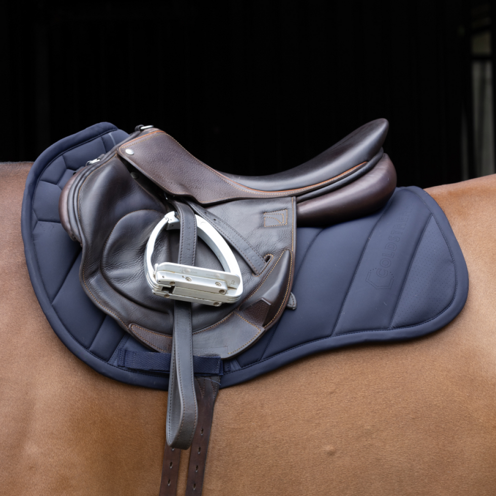 Coldstream Equestrian – GS Equestrian