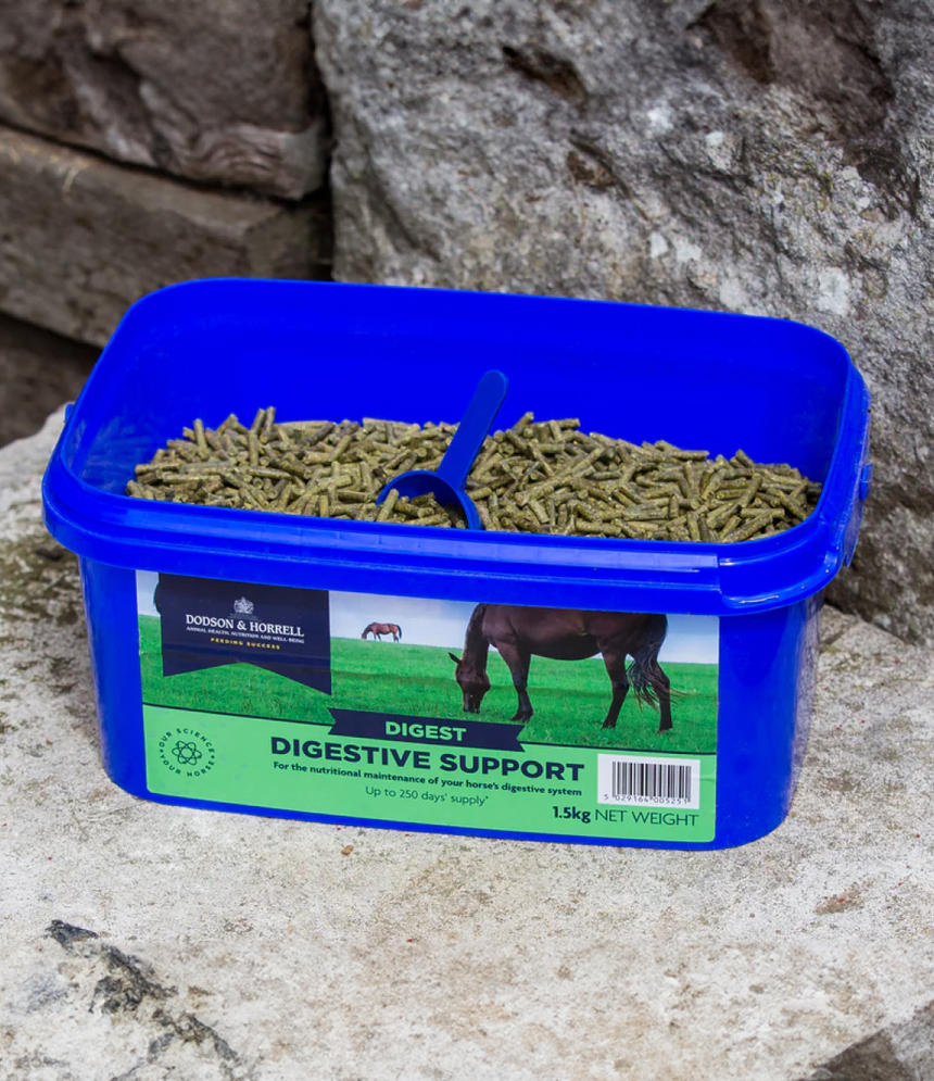 Dodson & Horrell – GS Equestrian