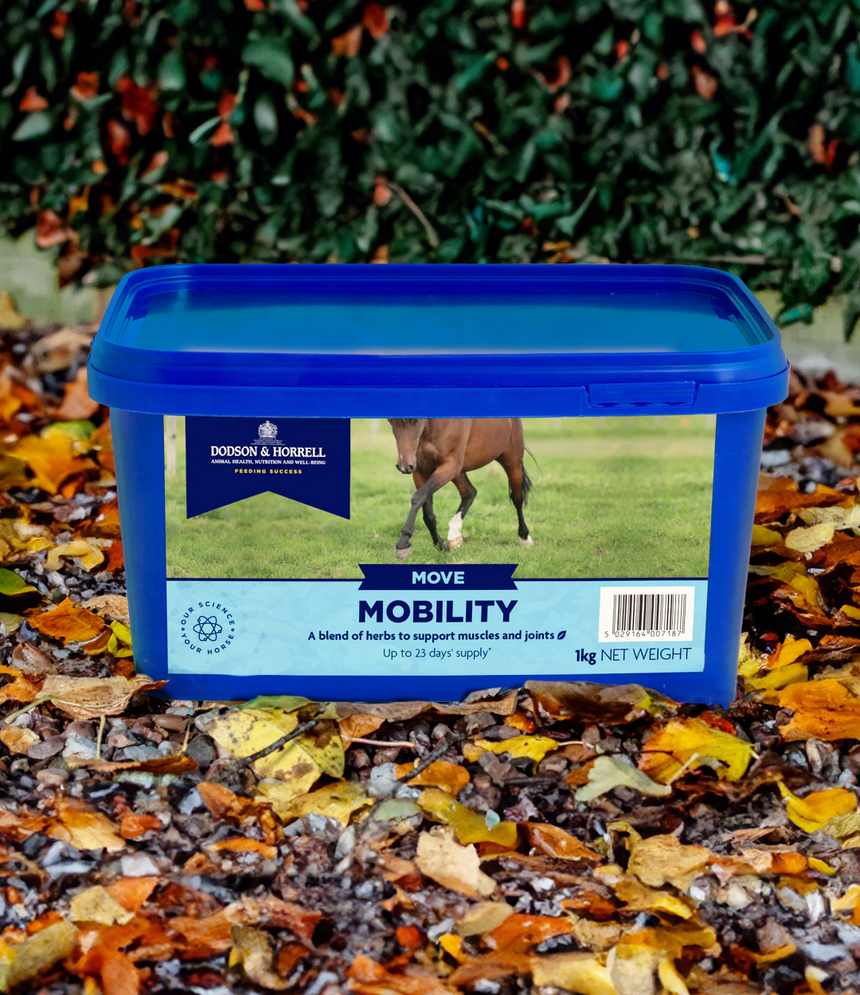 Dodson & Horrell – GS Equestrian