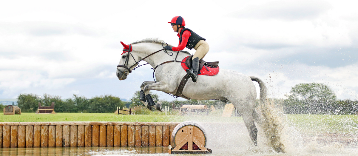 HY Equestrian Riding and Horse Equipment | GS Equestrian